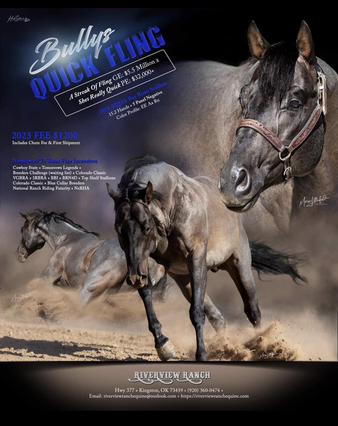 Barrel Ba$h - Double B Productions, LLC | Cowgirl Tuff Co | B Tuff ...