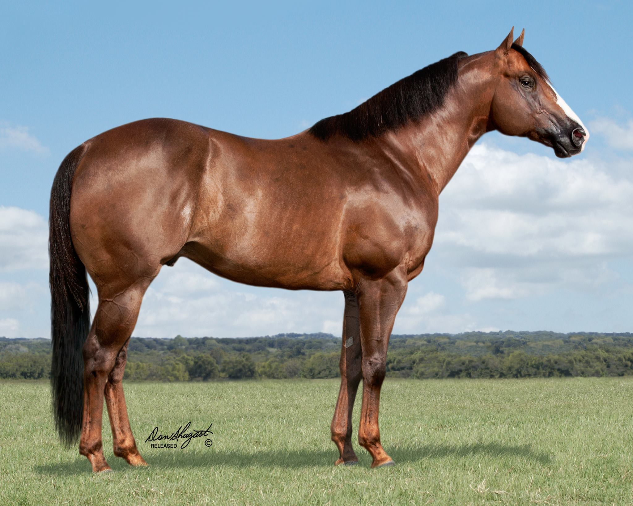 Barrel Ba$h - Double B Productions, LLC | Cowgirl Tuff Co | B Tuff ...