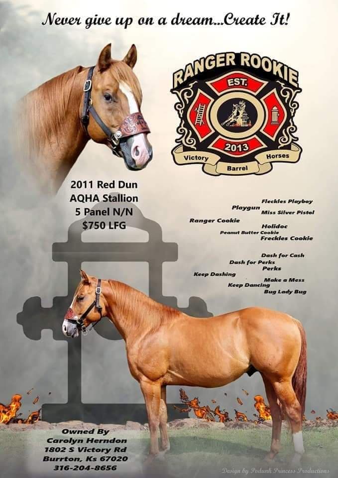 Barrel Ba$h - Double B Productions, LLC | Cowgirl Tuff Co | B Tuff ...